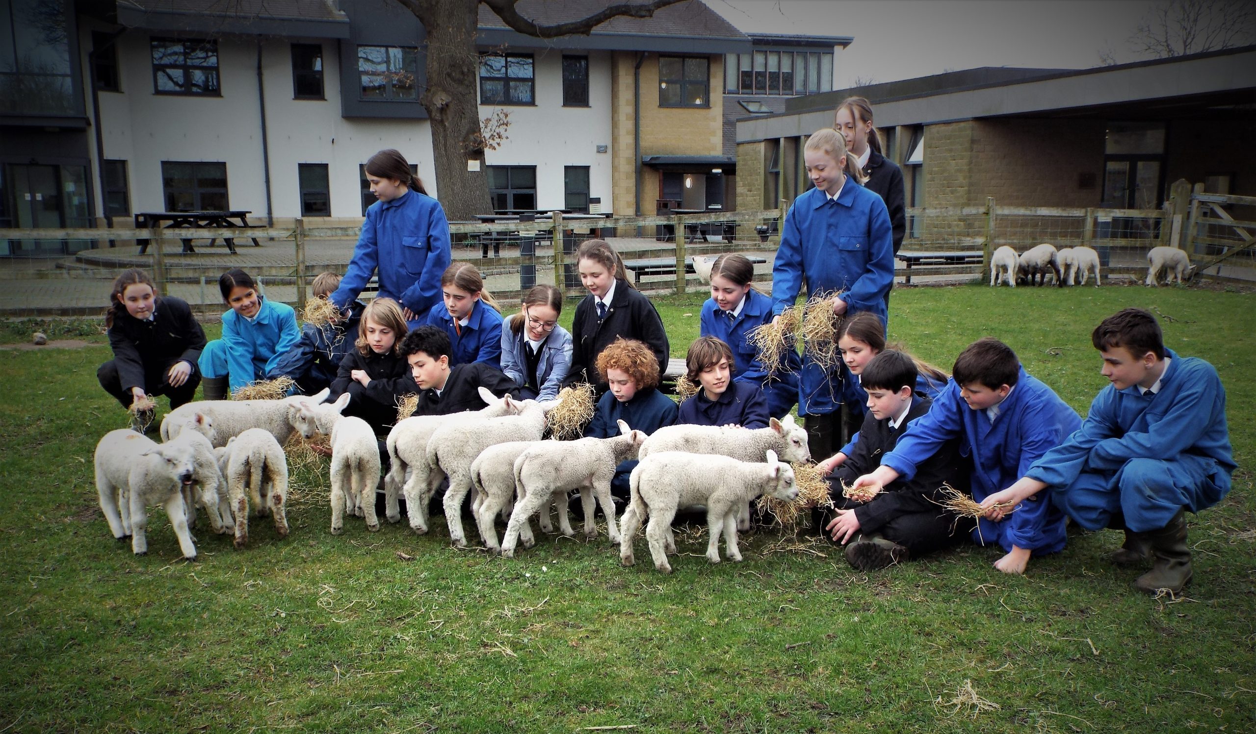 Farm Clubbers in their element - Ripley St Thomas