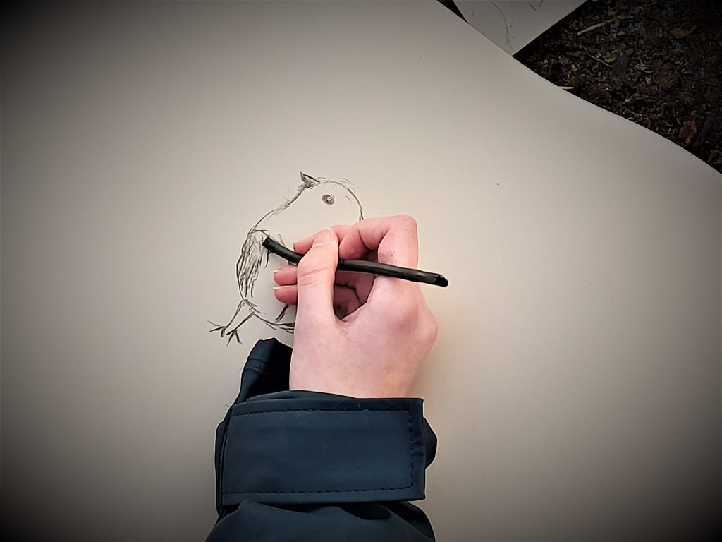 Farm Club and Forest School Festivities - Ripley St Thomas