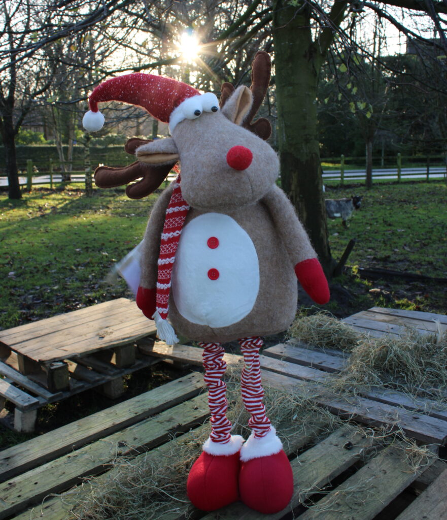 Rodney the Reindeer Updates - Ripley St Thomas
